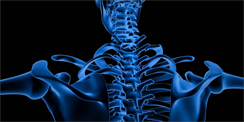 Bones – The CBD Believer