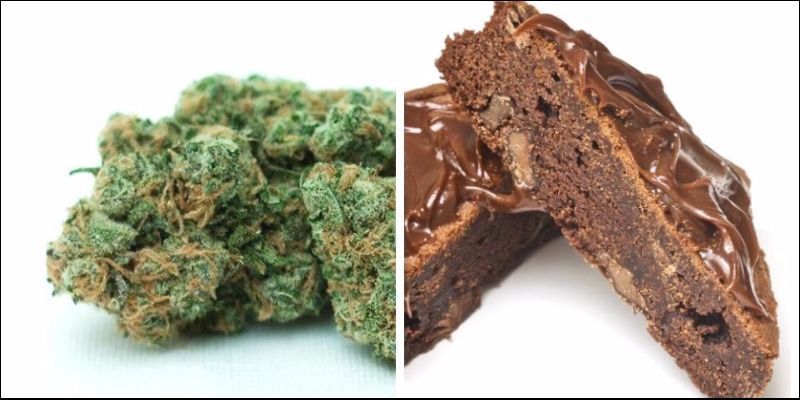 Why Does The Edible High Last So Long why-does-the-edible-high-last-so-long