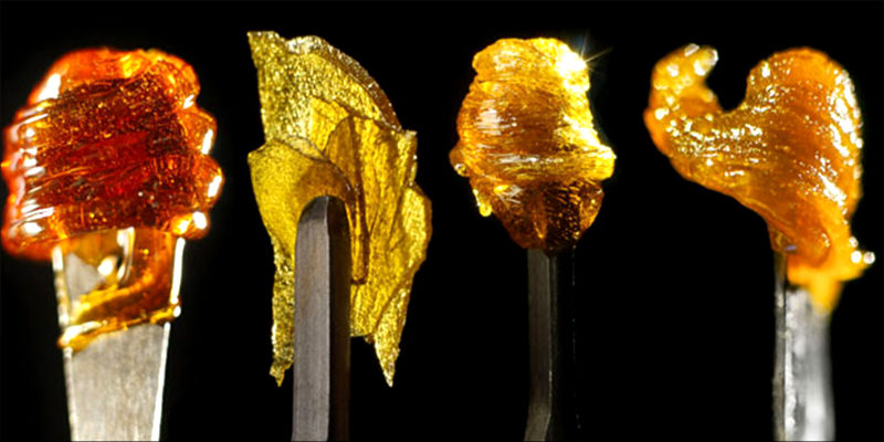 Cannabis Concentrates Buyers Guide 101 Cannabis Concentrates Buyers Guide 101